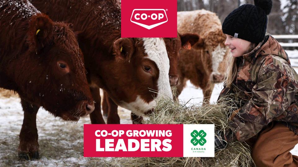 CO-OP GROWING LEADERS PROGRAM | Central Alberta Co-op